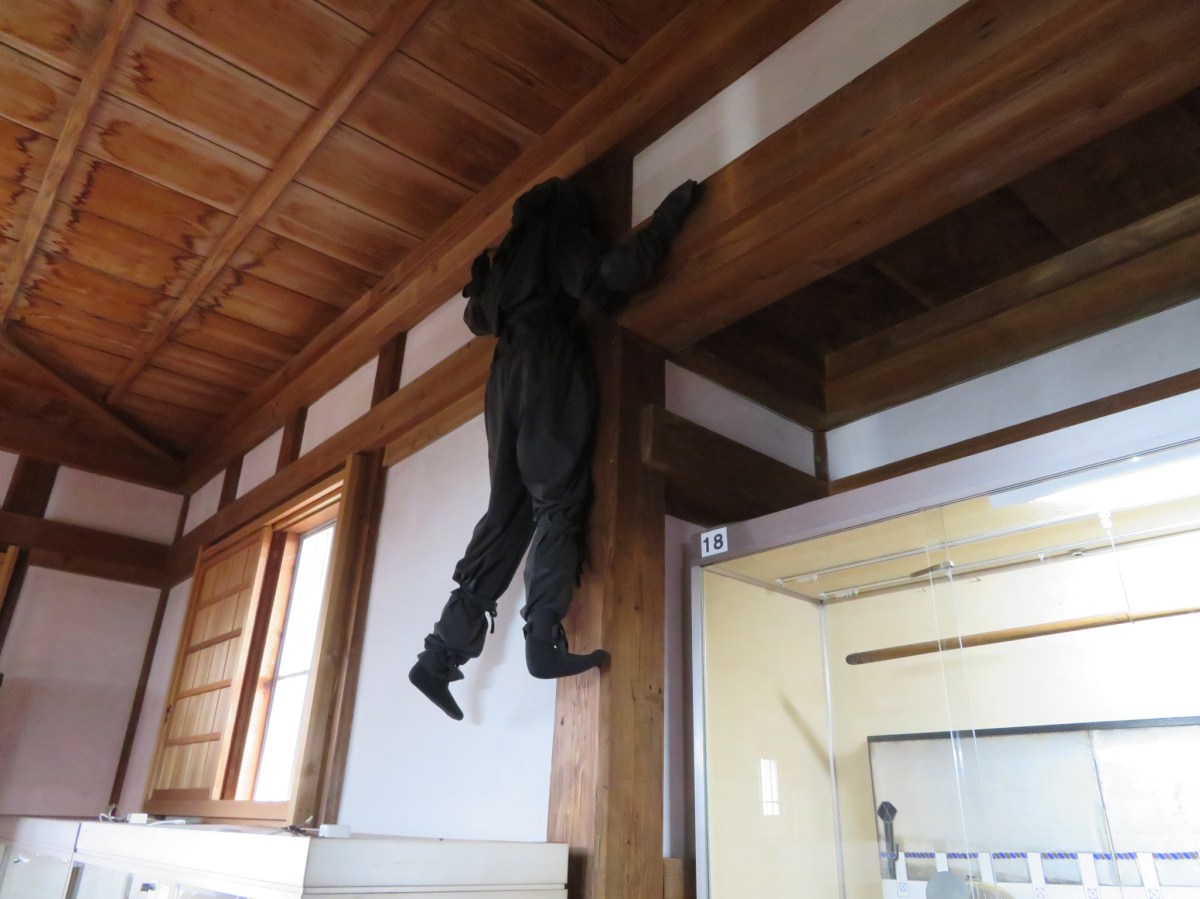 Ninja: spies with secrets and cool moves – Jigsaw Japan