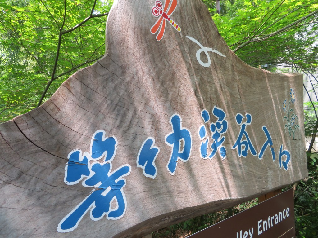 Todoroki Gorge: Tokyo’s deep, green respite – Jigsaw Japan