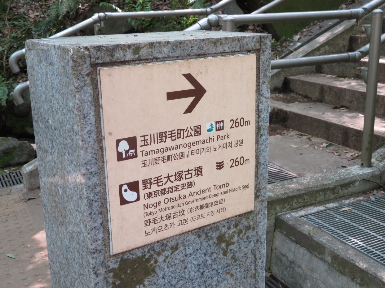 Todoroki Gorge: Tokyo’s deep, green respite – Jigsaw Japan