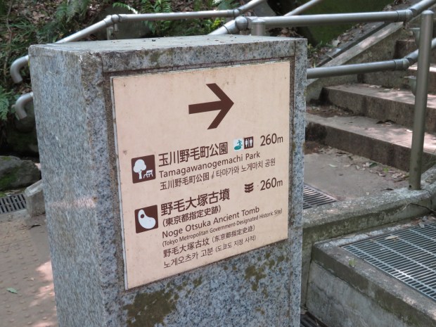 Todoroki Gorge: Tokyo’s deep, green respite – Jigsaw Japan