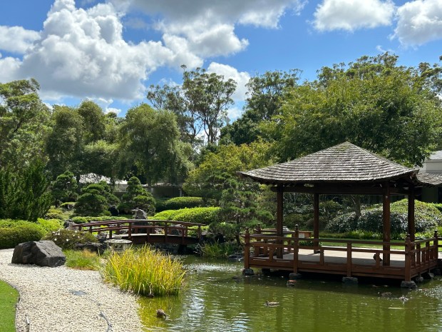 Edogawa Commemorative Garden: Japanese beauty under southern skies ...